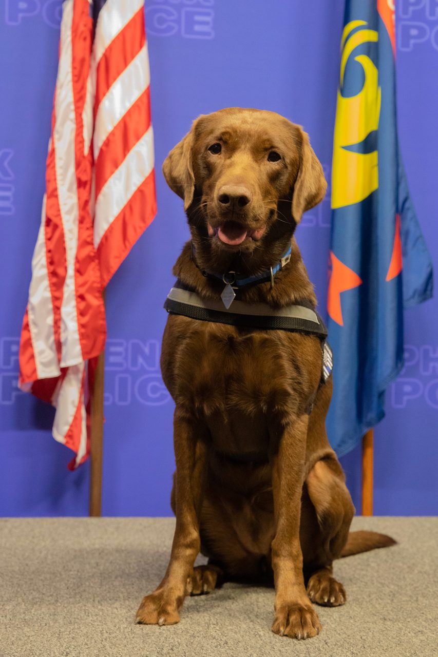 Phoenix P.D. invests in mental health services - American Police Beat ...