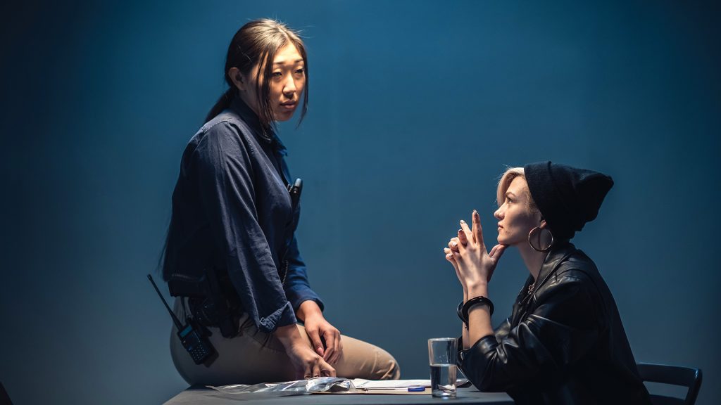 Themes and tactics for successful criminal interrogations - American ...