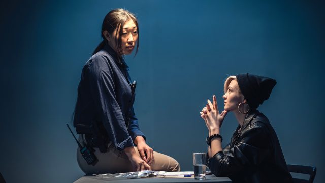 Themes and tactics for successful criminal interrogations - American ...