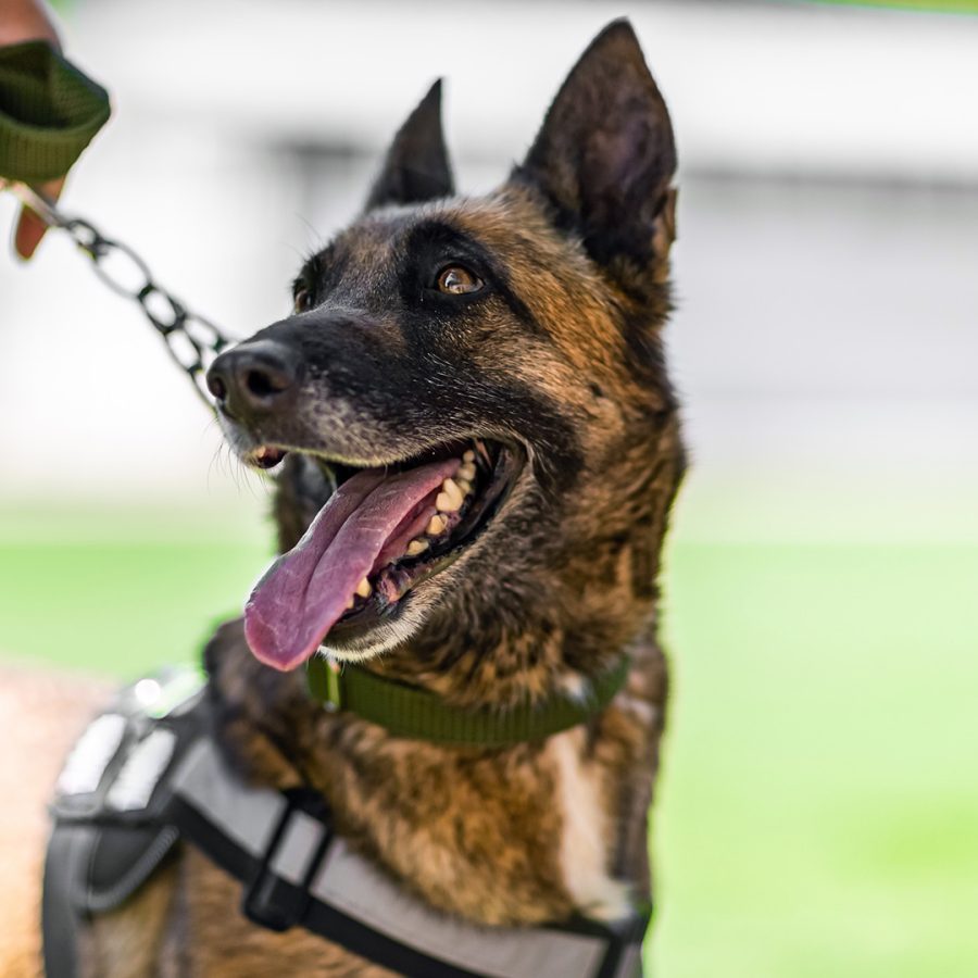The power of teamwork - American Police Beat Magazine