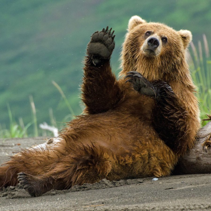 Old stigmas die hard - American Police Beat Magazine