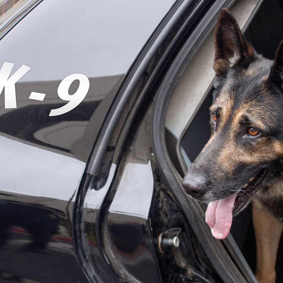 PepperBall VKS PRO - American Police Beat Magazine