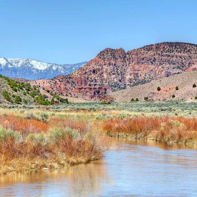 The importance of a good field training officer - American Police Beat ...